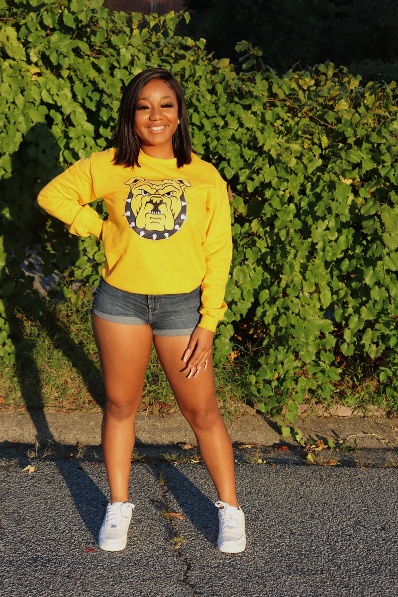 NCAT Sweatshirts: Embrace the Aggie Spirit in Style – HallPass.Shop